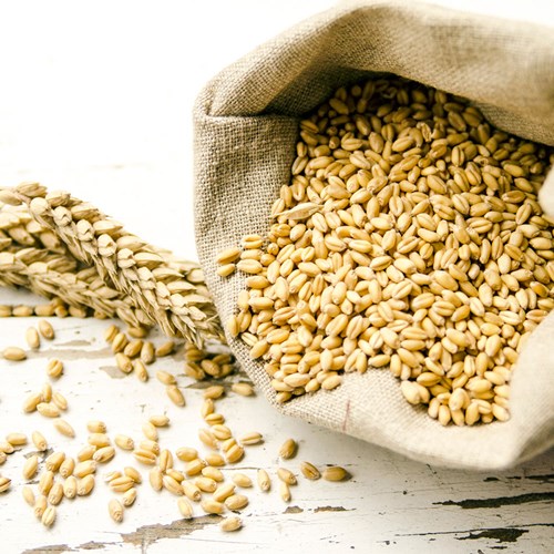 Çorum'a Özel Aşurelik Buğday | Özgür Leblebi