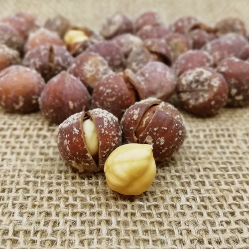 Foşa Kabuklu Tuzlu Fındık Fiyatı - Özgür Leblebi