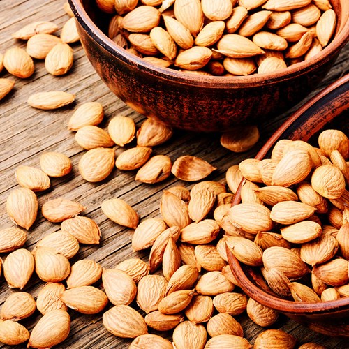 Kayısı Çekirdeği Fiyatı - Özgür Leblebi