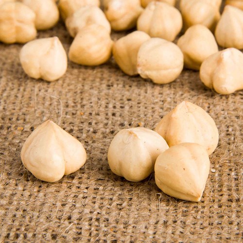 Tek Kavrulmuş Fındık İçi Fiyatı - Özgür Leblebi