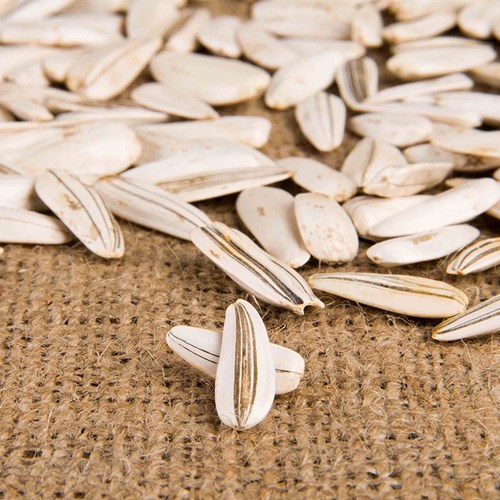 Tuzlu Beyaz Çekirdek Fiyatı - Özgür Leblebi