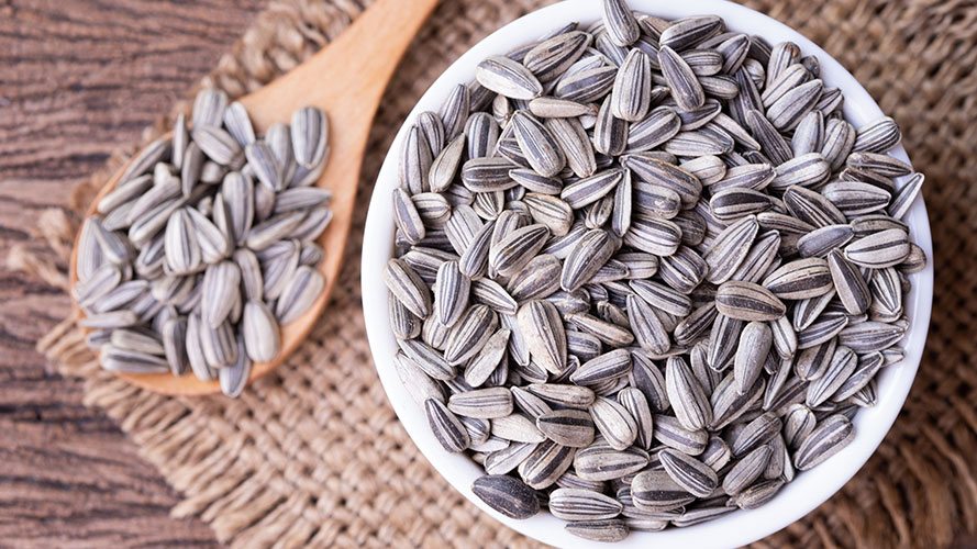 Çekirdek Çeşitleri| Özgür Leblebi